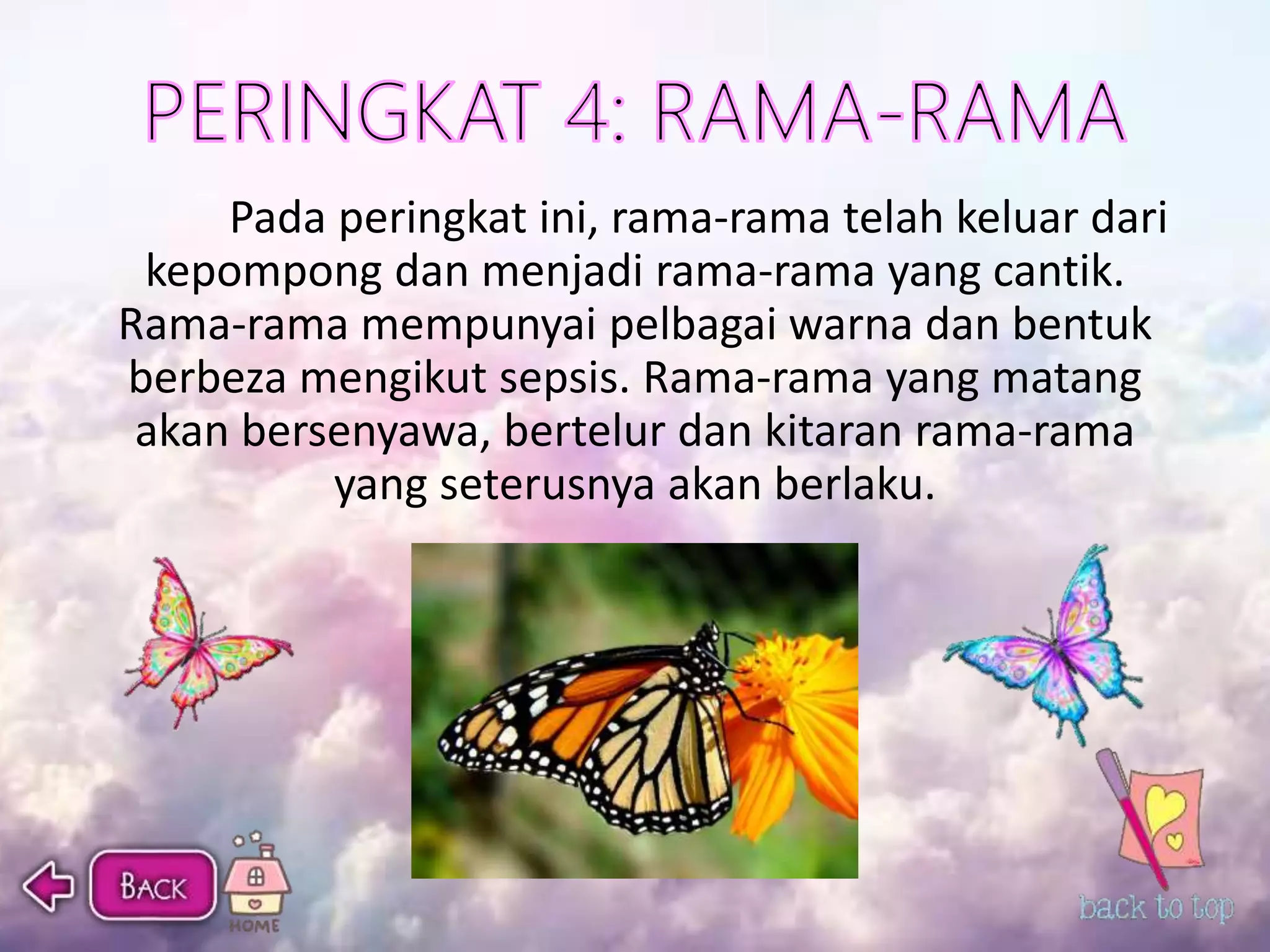 Kitaran Hidup Rama-Rama | PPTX