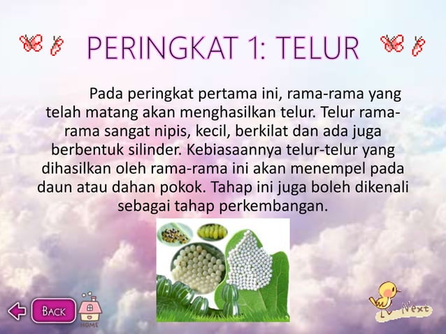 Kitaran Hidup Rama-Rama | PPTX