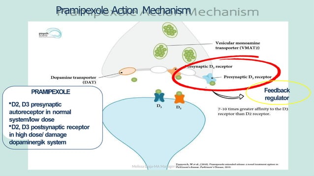 efektivitas PRAMIFROL pada parkinson disease | PPTX