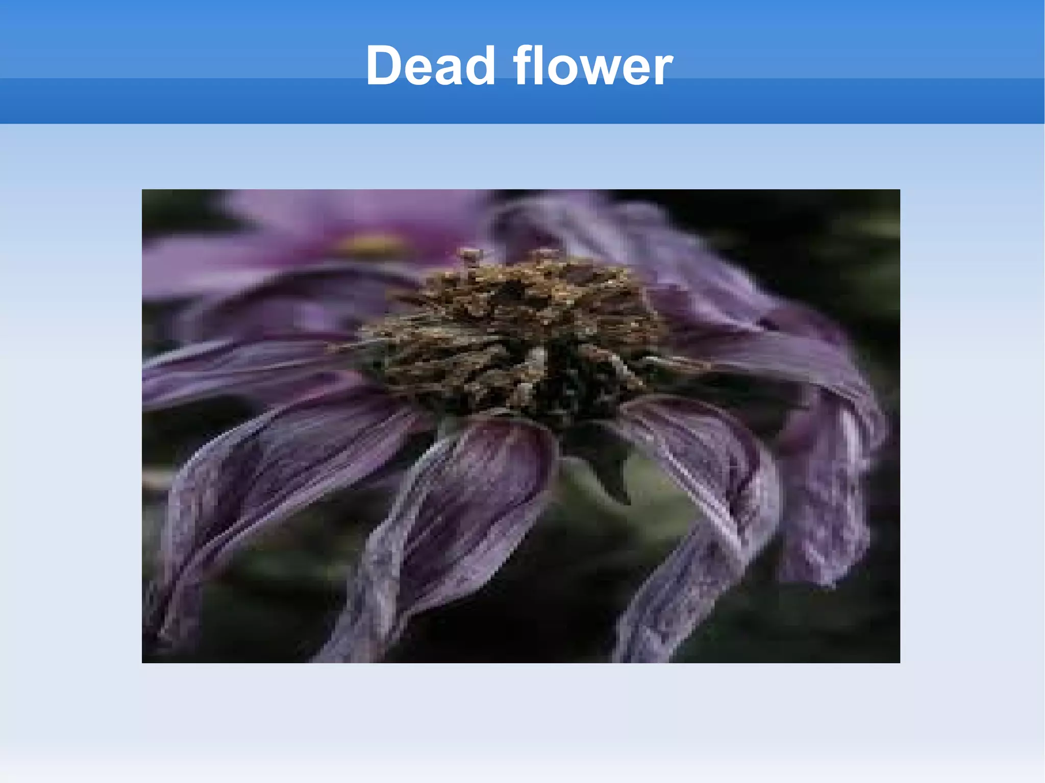 Physical and Chemical Change | ODP