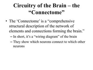Slide Presentation | PPT
