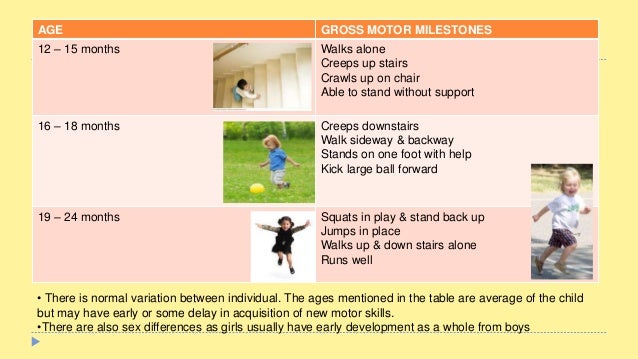 delayed gross motor