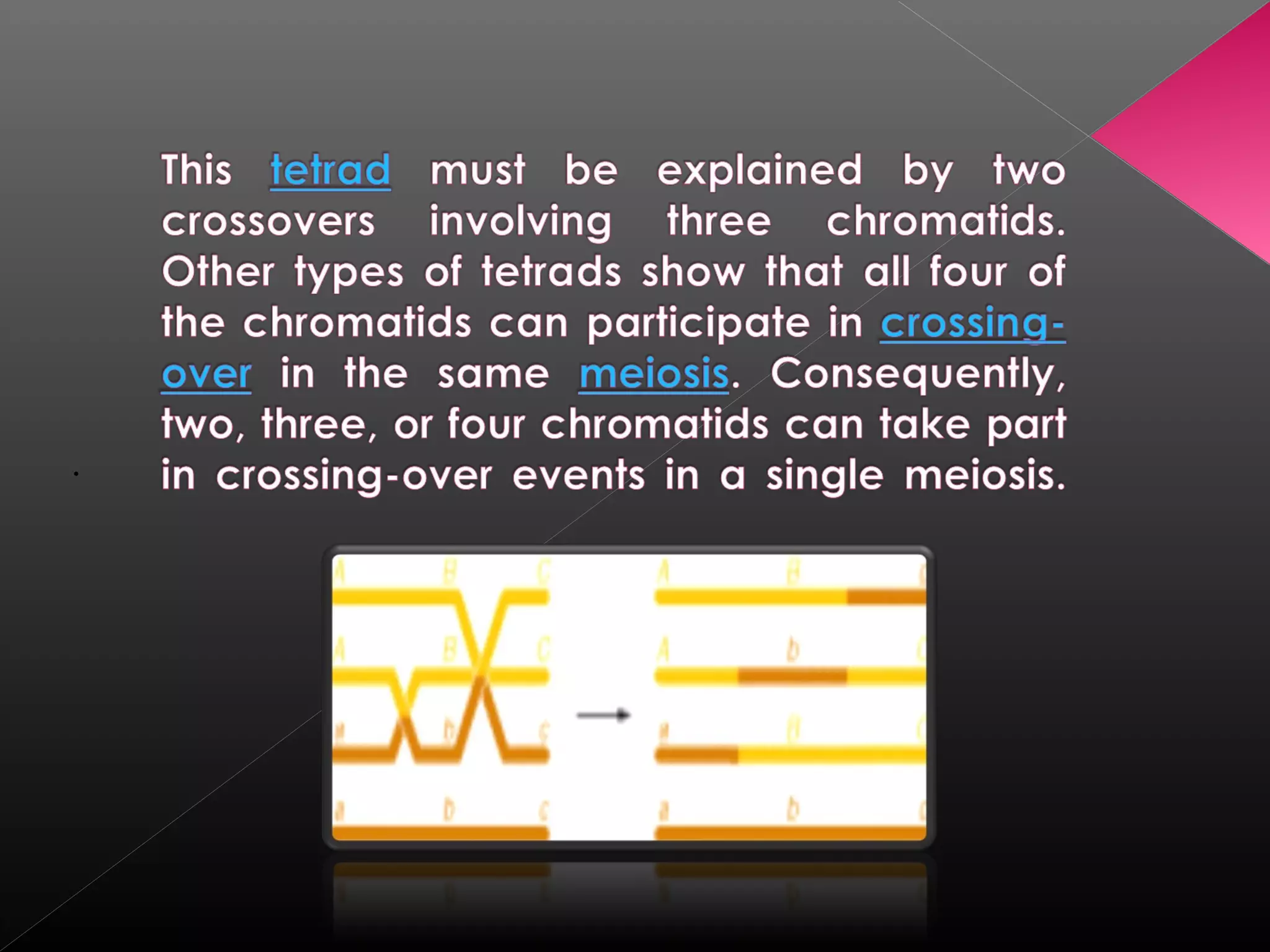 LINKAGE AND CROSSING OVER | PPT