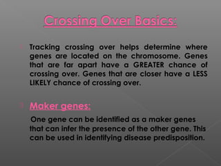 LINKAGE AND CROSSING OVER | PPT