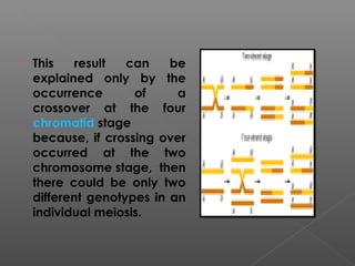 LINKAGE AND CROSSING OVER | PPT