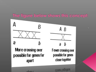 LINKAGE AND CROSSING OVER | PPT