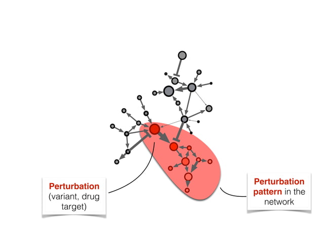 Perturbing The Interactome: Multi-Omics And Personalized Methods For ...