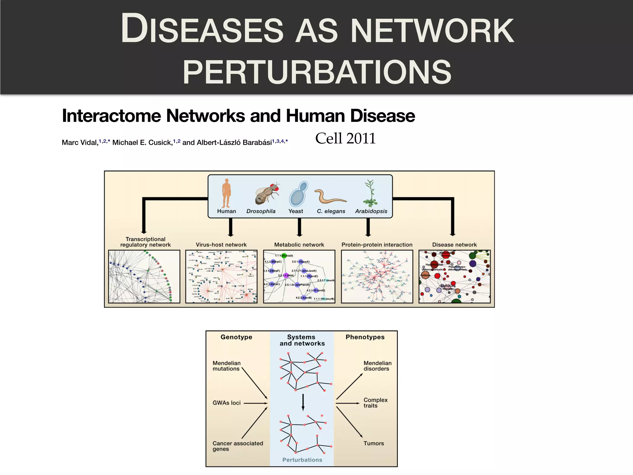 Introduction to Network Medicine | PDF