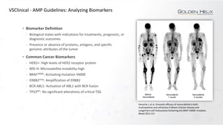 AMP-Based Variant Classification with VSClinical | PDF