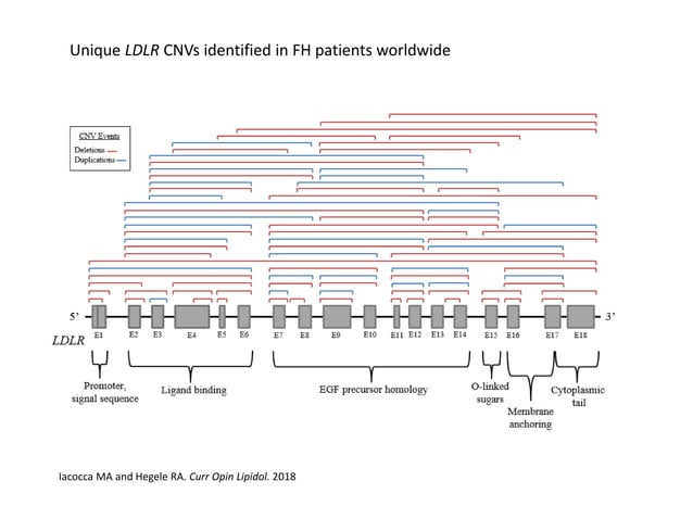 Using NGS to detect CNVs in familial hypercholesterolemia | PPT