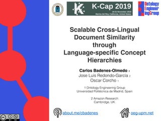 Scalable Cross-lingual Document Similarity through Language-specific Concept Hierarchies | PPT