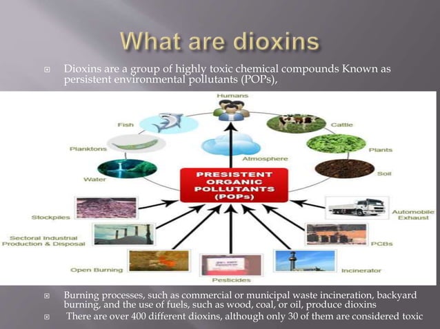 dioxins | PPTX | Indoor Environmental Quality | Home & Garden