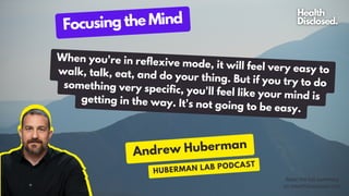 HubermanLabPodcast-Summary-EP1.pdf
