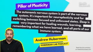 HubermanLabPodcast-Summary-EP1.pdf