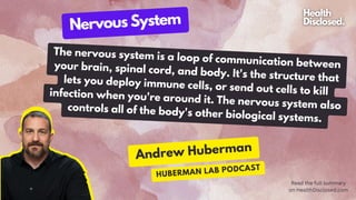 HubermanLabPodcast-Summary-EP1.pdf