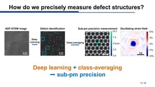 Characterizing the Heterogeneity of 2D Materials with Transmission Electron Microscopy and ...