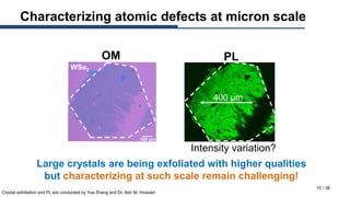 Characterizing the Heterogeneity of 2D Materials with Transmission ...