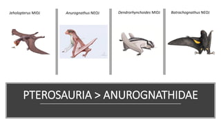 Slides - clados e famílias de pterosauros filogenia 2010.pdf