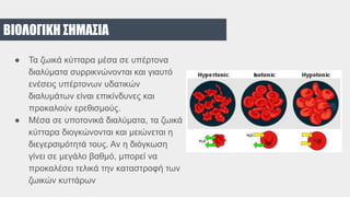 ΠΡΟΣΘΕΤΙΚΕΣ ΙΔΙΟΤΗΤΕΣ - ΩΣΜΩΣΗ | PPT