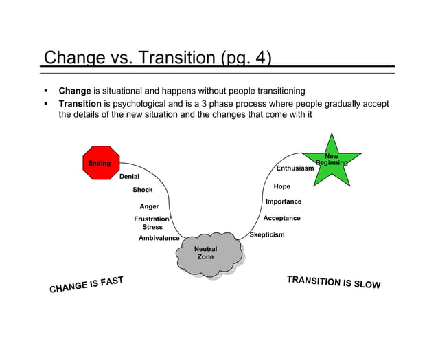 Slides -the_bridges_transition_model | PDF | Human Resources | Business