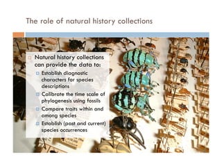 Modeling the biosphere: the natural historian's perspective | PDF