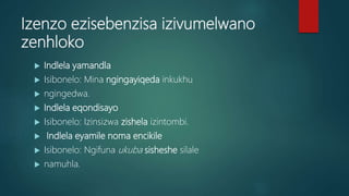 iSIZULU | PPTX