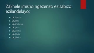 iSIZULU | PPTX