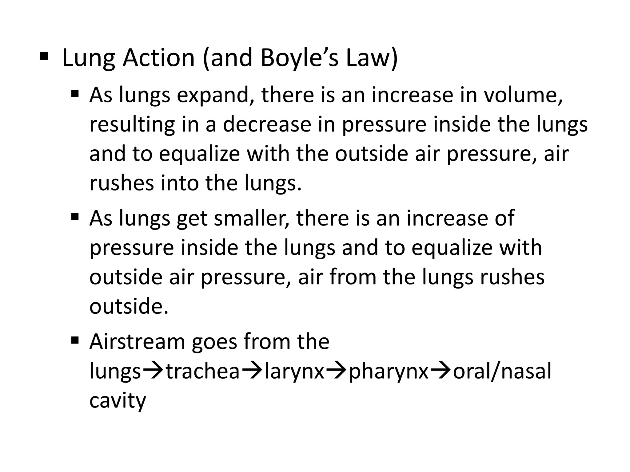 Phonetics/Anatomy study guide comd 241 .. | PPT