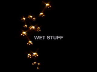 HELLERSTEIN. -Photography | PPT