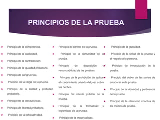 Principios de la Prueba | PPTX