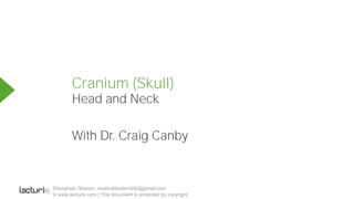 Slides_Anatomy_Skull.pdf