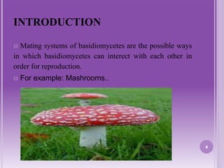 Mating system in Basdiomycetes | PPT