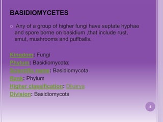 Mating system in Basdiomycetes | PPT
