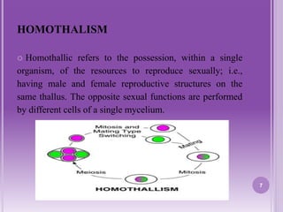 Mating system in Basdiomycetes | PPTX