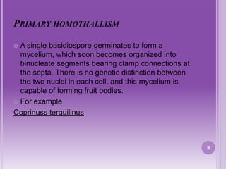 Mating system in Basdiomycetes | PPTX