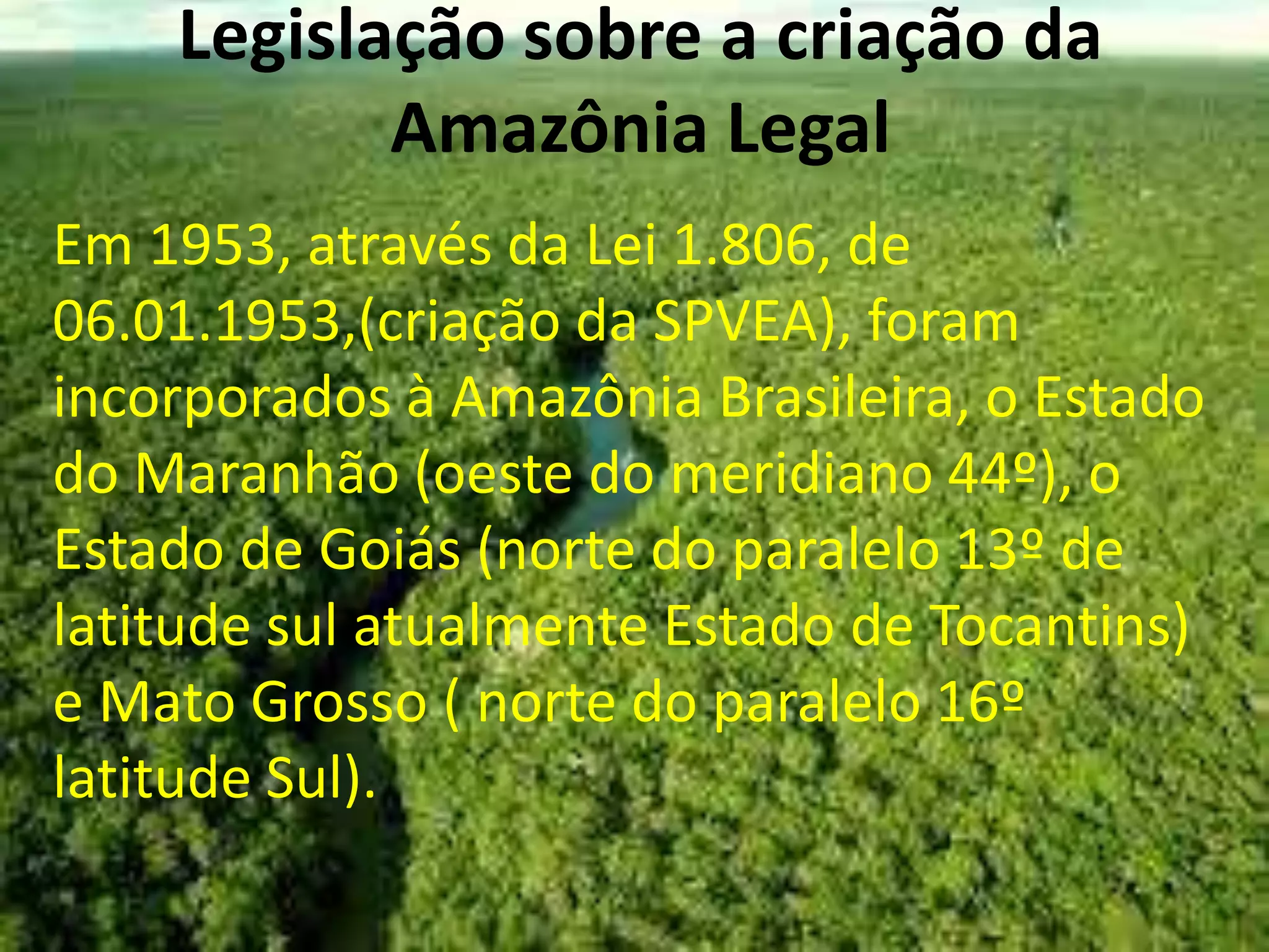Slides biomas da amazonia | PPTX