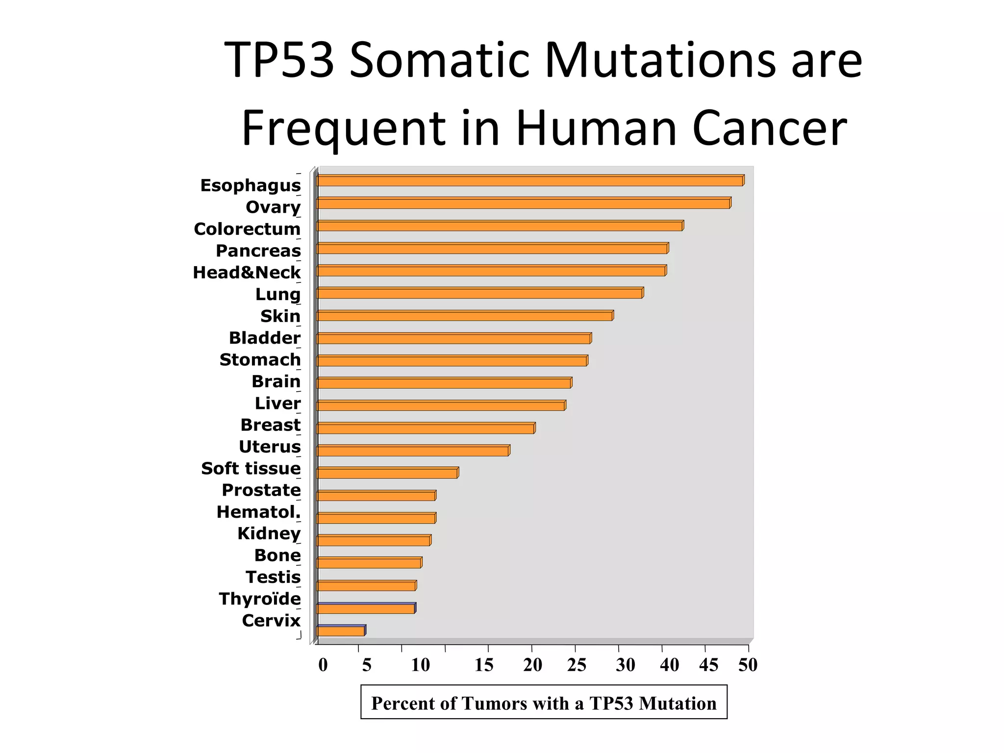 Giovanni Blandino: geni e tumori | PPT