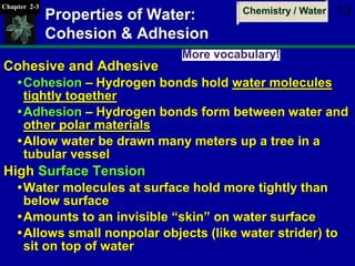 Chapter 03 Water | PPT