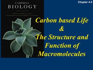 Chapter 04 Carbon Base Life | PPTX
