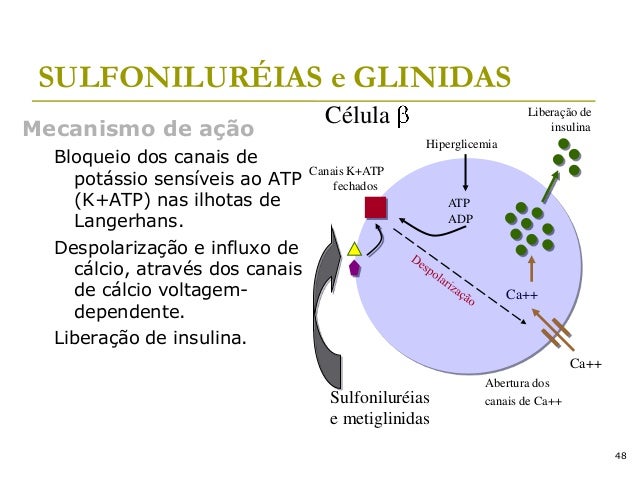 Revisão sobre Diabetes Mellitus