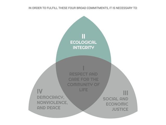 Slides Earth Charter Pilar 2 English: Ecological Integrity | PDF