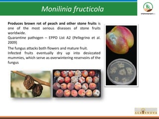 "In field diagnostics- the Genie and the LAMP" | PDF