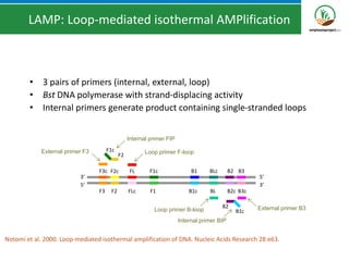 "In field diagnostics- the Genie and the LAMP" | PDF