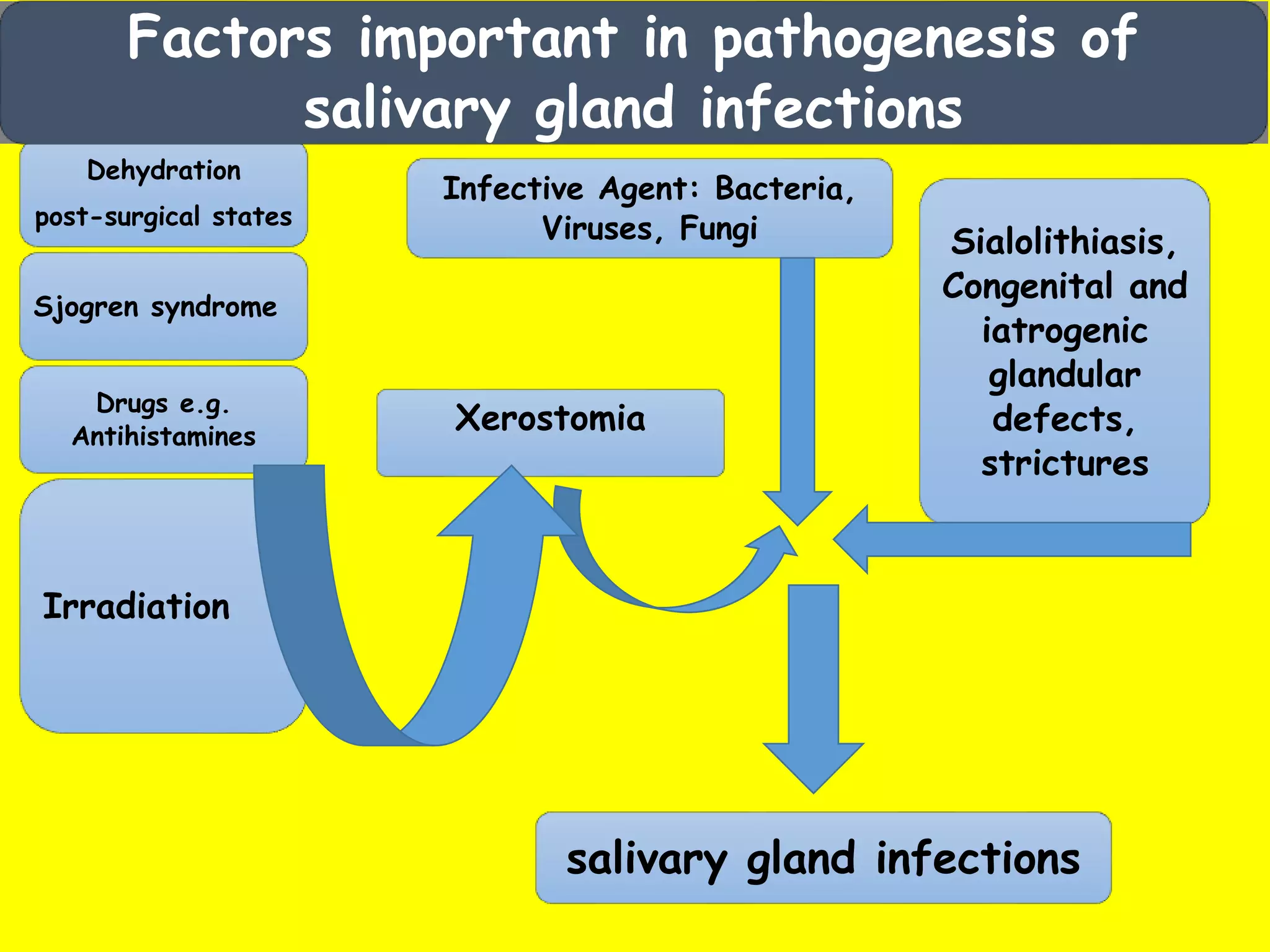 Infections and salivary gland disease in pediatric age: how to manage ...