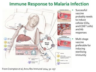 Katie Flanagan - Malaria vaccines current status and challenges | PDF