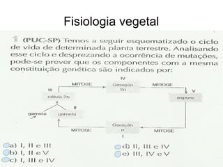 @S Slides exercicios fisio e reprodução vegetal- rebeca | PPT