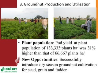 ICRISAT Nigeria research and development activities in sorghum and ...