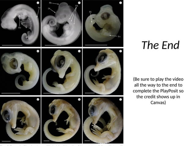 Slides for Lec 1 - Getting started (Student Copy).pptx