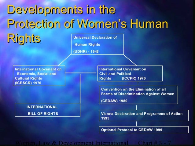 Slides for unit 3 women's human rights