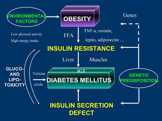 Diabetes and its Types | PPT